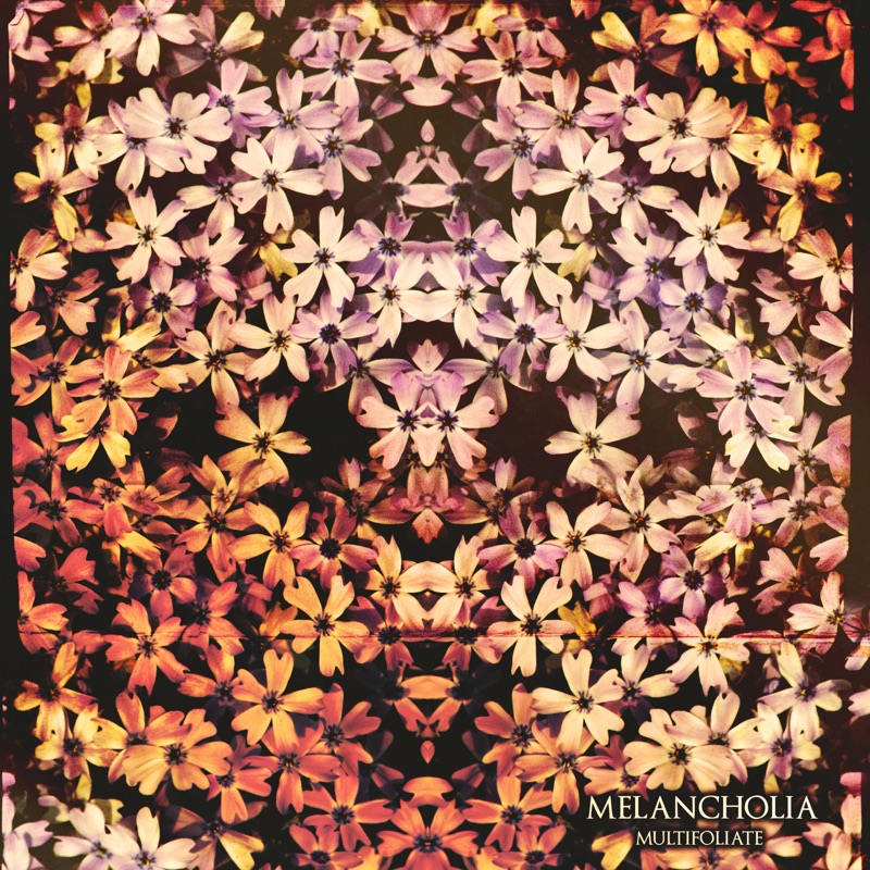 Baspingo? - Melancholia: Song Lyrics, Music Videos & Concerts