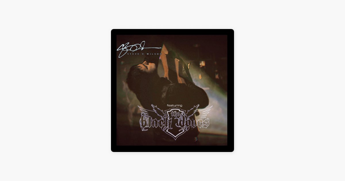 ‎Beautiful Tragedy (Remastered) (feat. The Black Doves) - Song by Steve ...