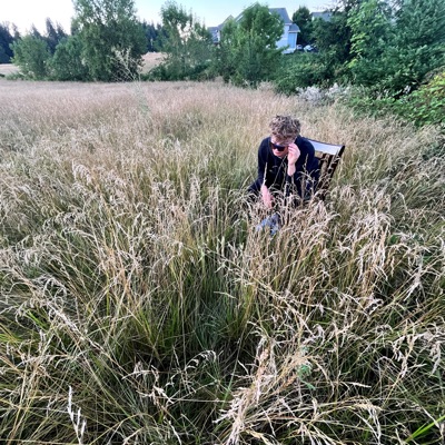 bxnn - Songs, Concert tickets & Videos