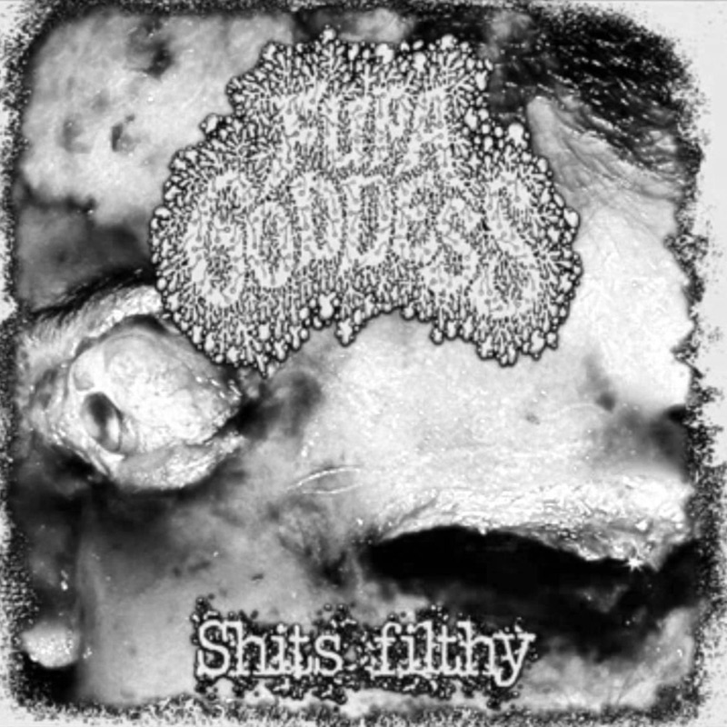 Parts - Fupa Goddess: Song Lyrics, Music Videos & Concerts