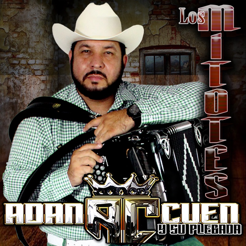 Los Andares de Alfredo (En Vivo) - Adan Cuen Y Su Plebada: Song Lyrics ...