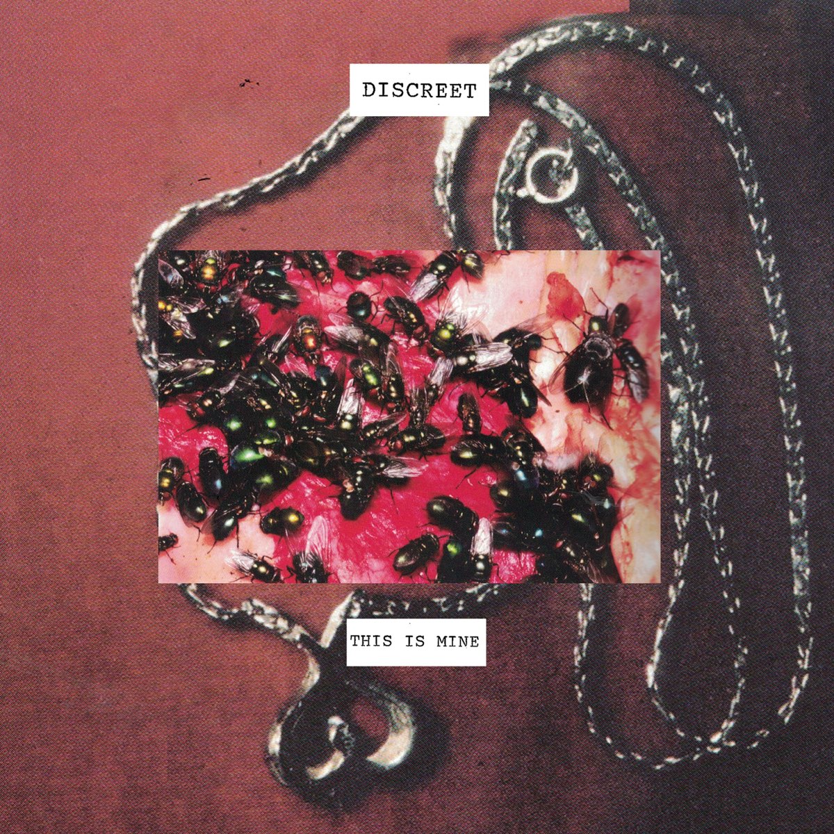 ‎This Is Mine - Album by Discreet - Apple Music