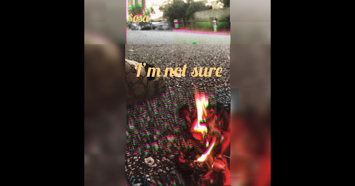 ‎Im Not Sure - Single - Album by $osa - Apple Music