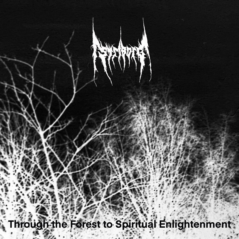 The Enchanted Forest - Striborg: Song Lyrics, Music Videos & Concerts