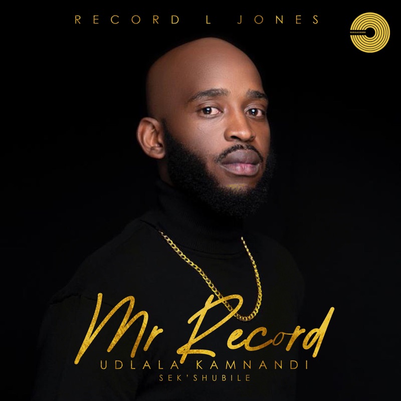 Stop Sign (feat. Flojo & Nhlanhla the Guitarist) - Record L Jones: Song ...