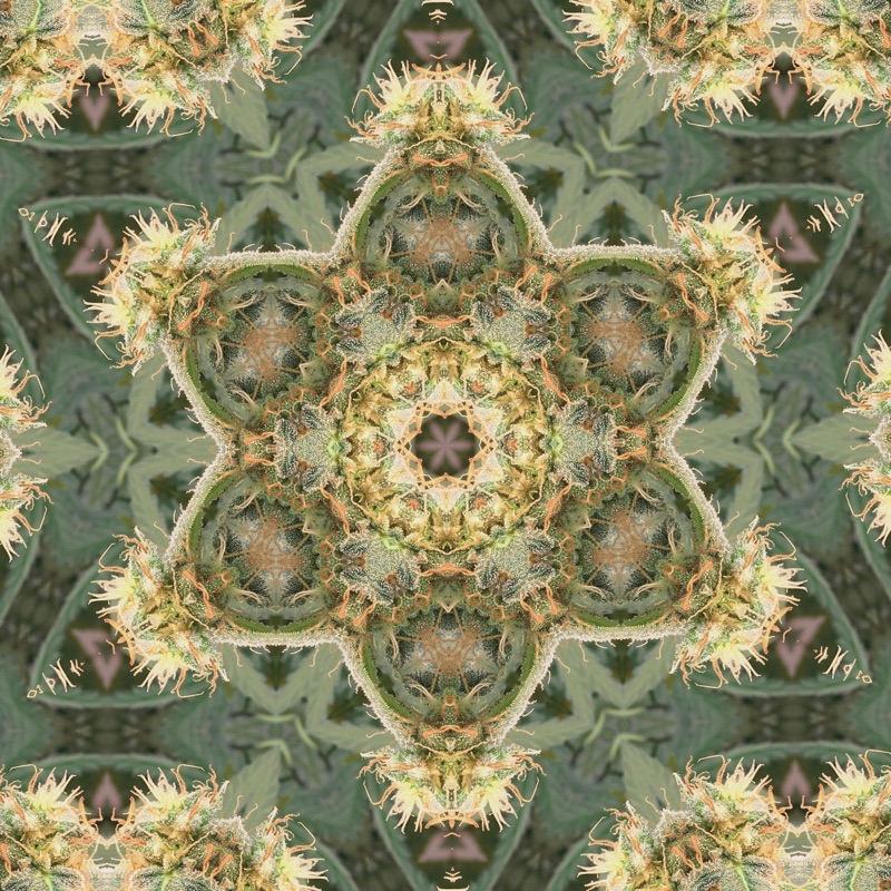 Versatile Handpan, B Universal Scale, Chill At Peace - Tera Mangala ...