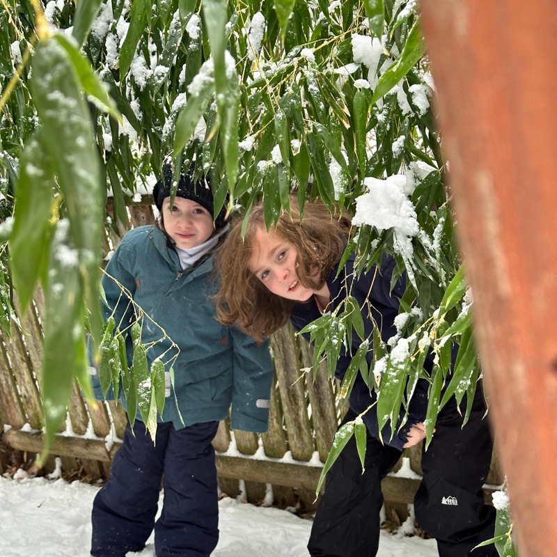 Why Don't You Like Me? - Jonathan Mann: Song Lyrics, Music Videos ...