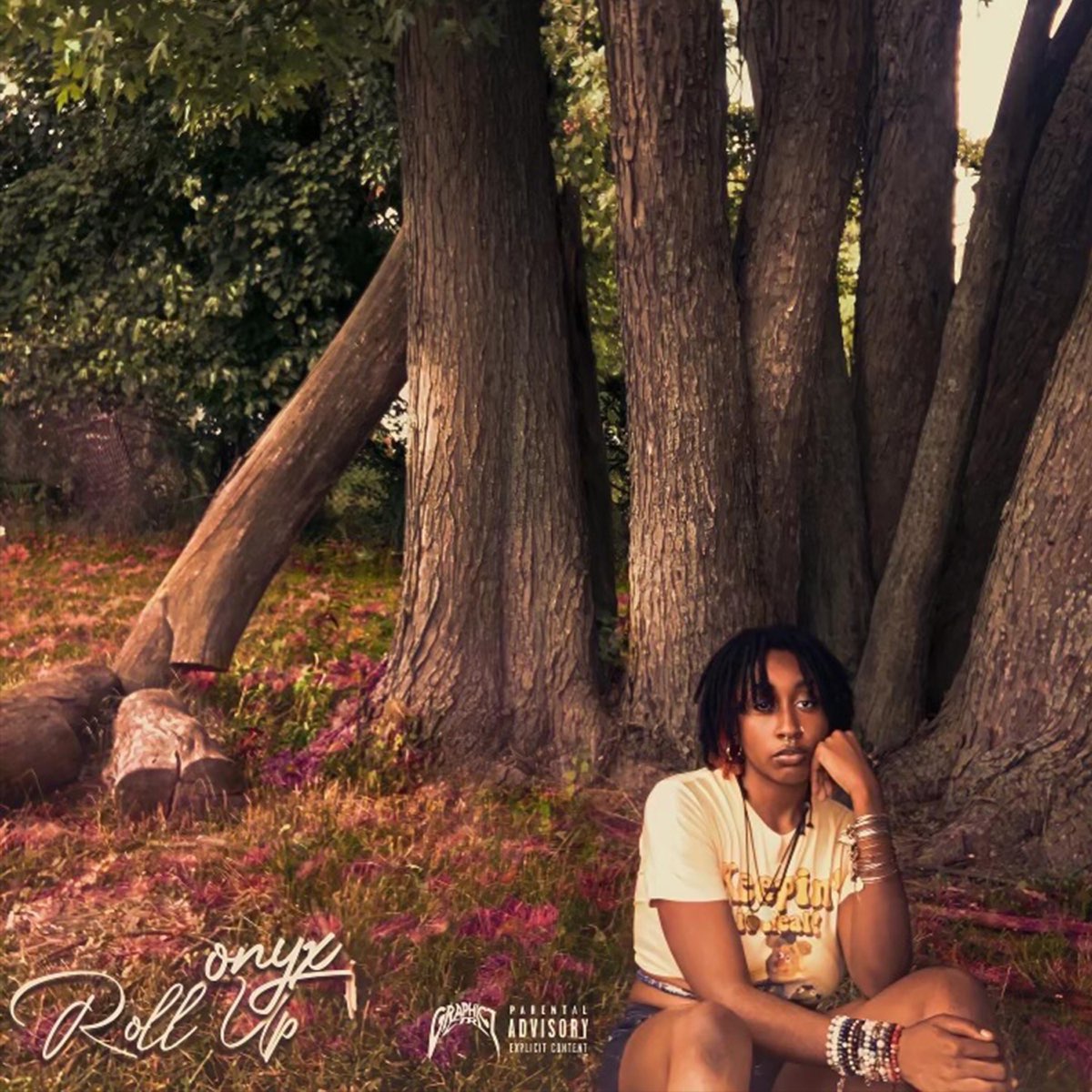 ‎Roll Up - Album by Onyx - Apple Music