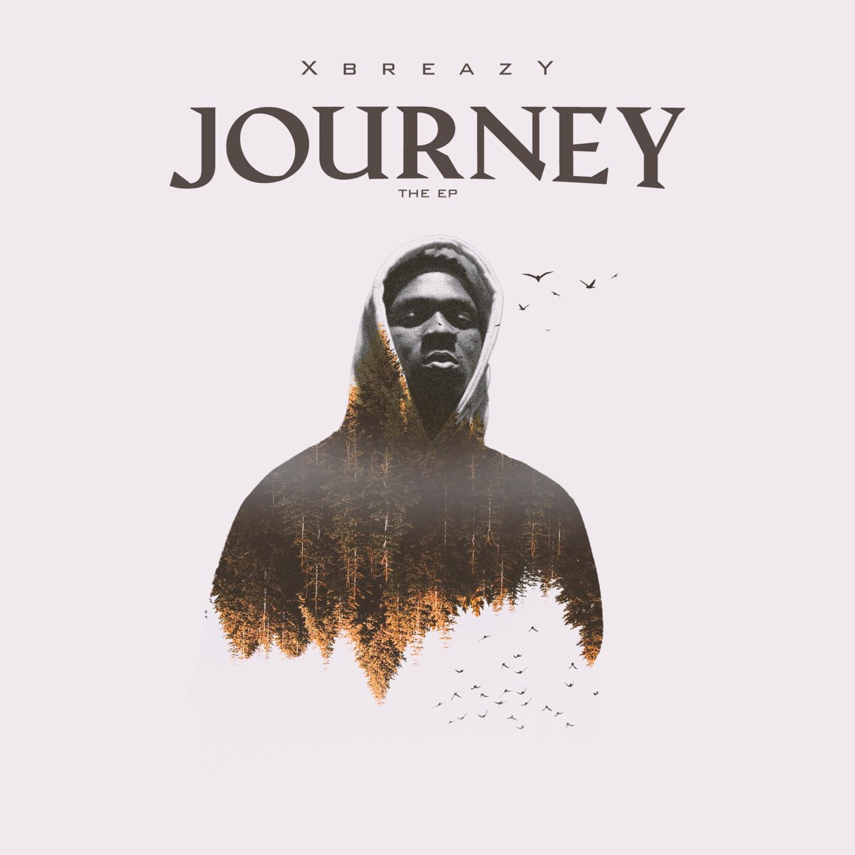 Journey's》- Xbreazy的专辑 - Apple Music