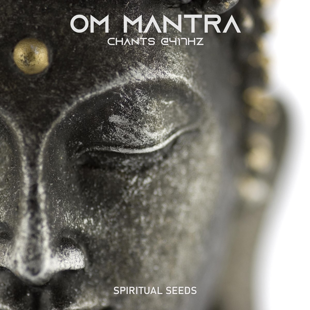 ‎OM Mantra Chants: 417Hz (Wipe Out All the Negative Energy) - Spiritual ...