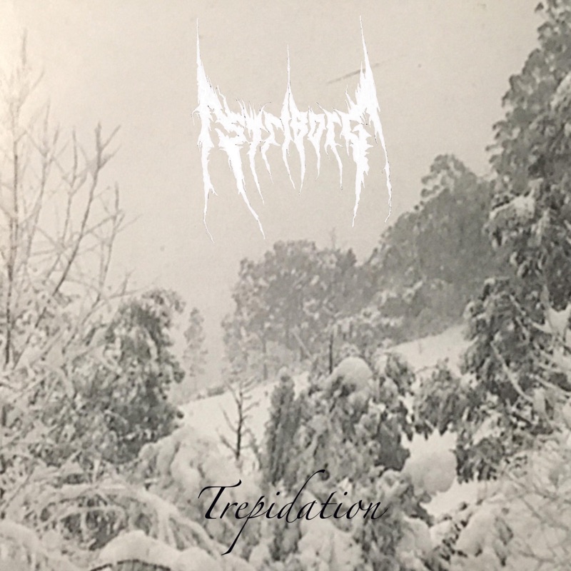 Reaping the Fields of the Black Death - Striborg: Song Lyrics, Music ...