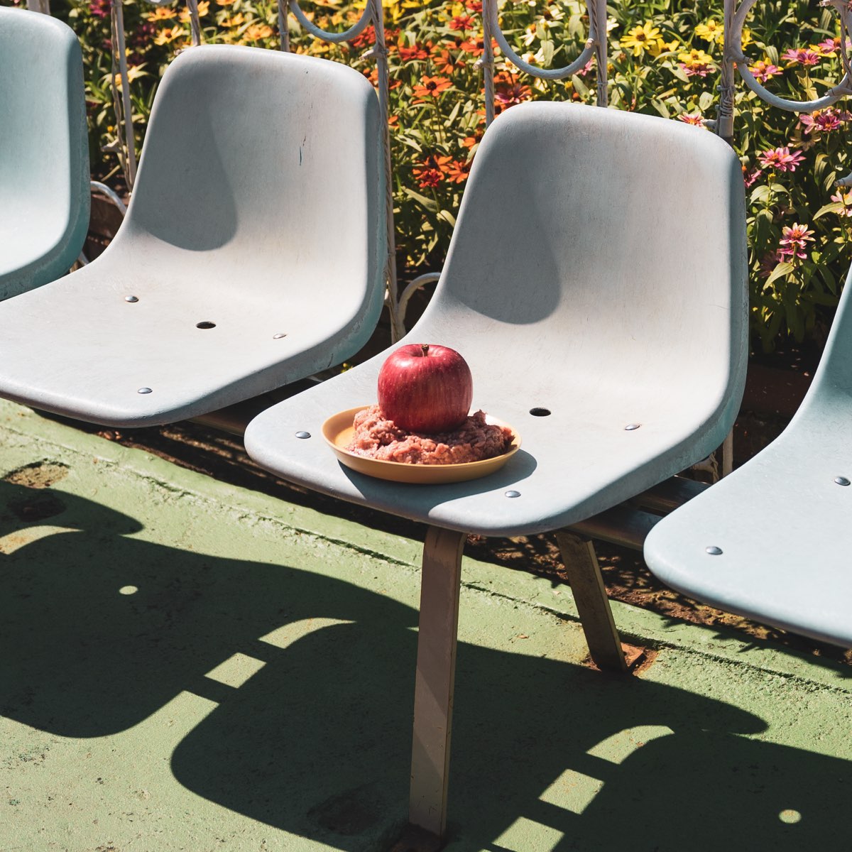 human - EP》- ひとひら的专辑 - Apple Music