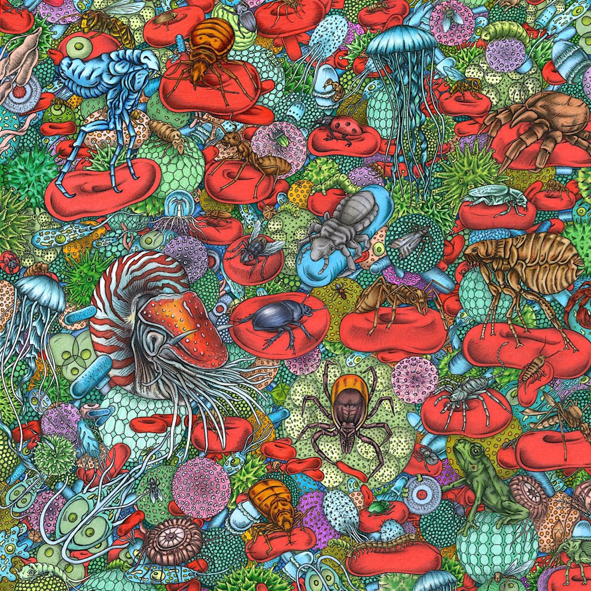 ‎Ursuppe - Album by Lookey, Julezmann & Gute Gesellschaft - Apple Music