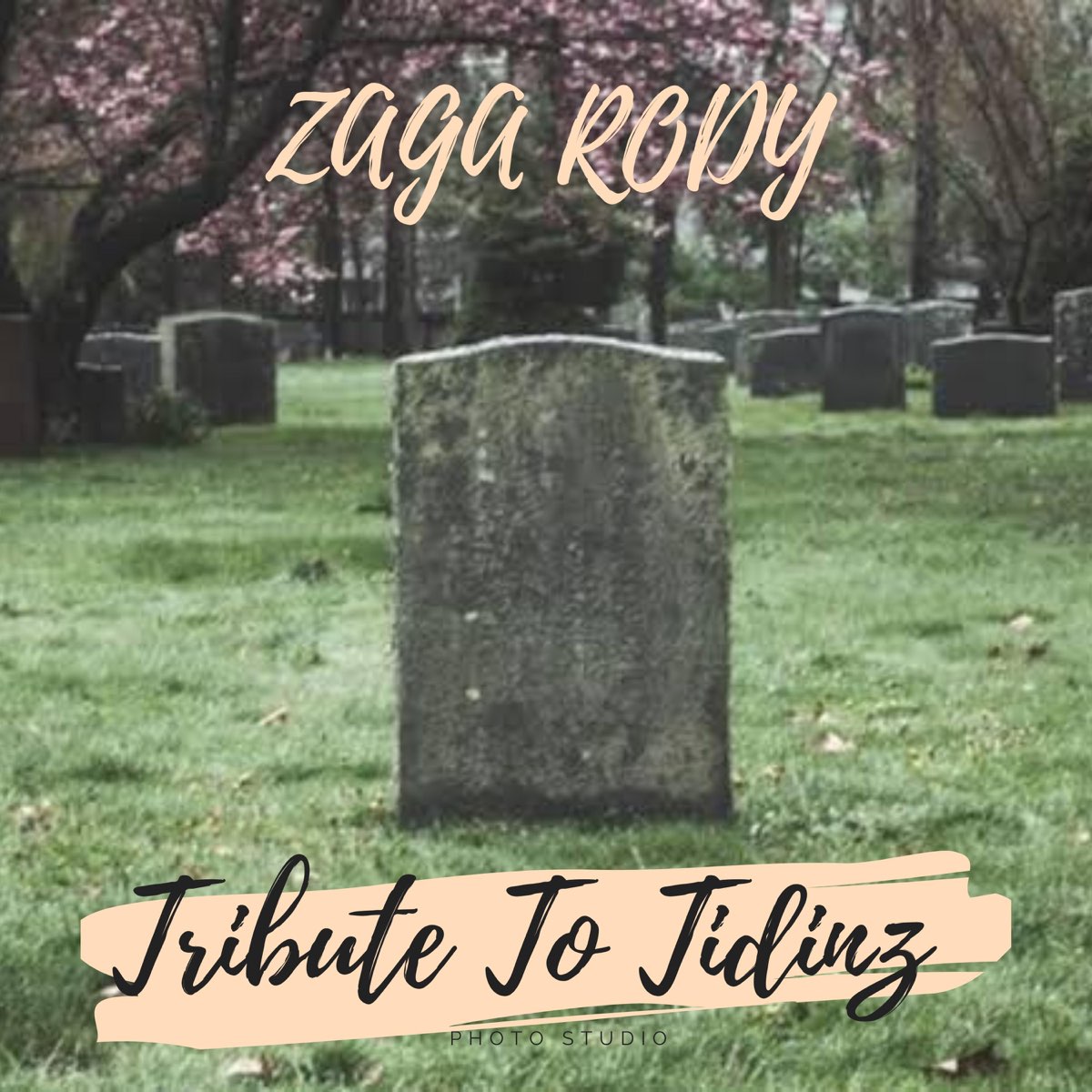 ‎Tribute To Tidinz (TTT) - Single - Album by Zaganwaba - Apple Music