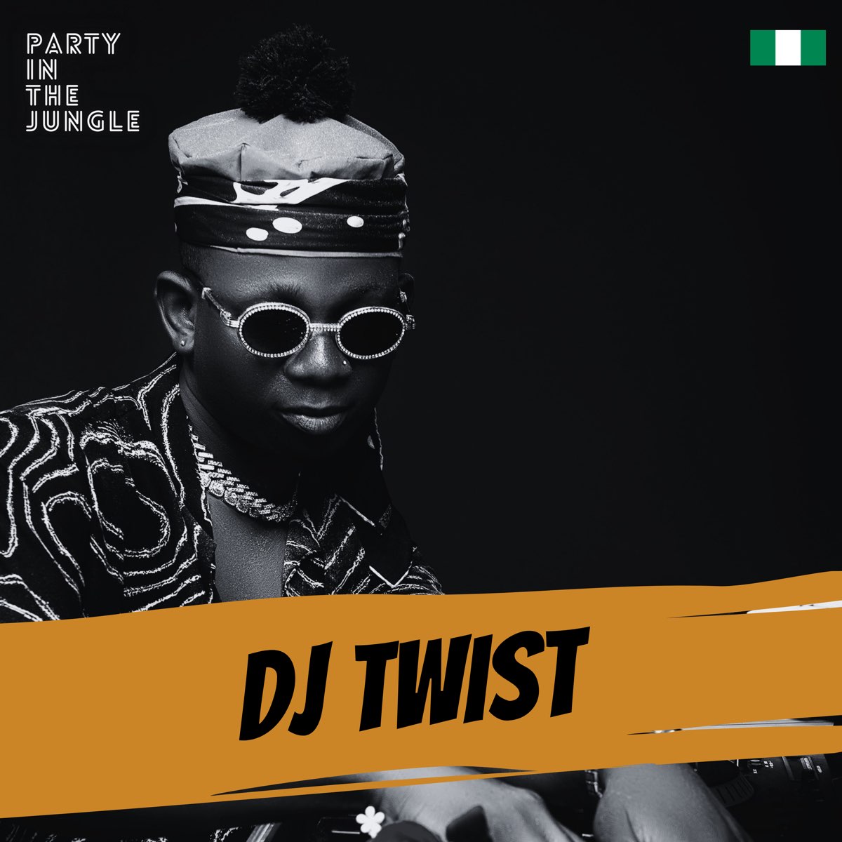 ‎Party In The Jungle: DJ Twist, Nov 2022 (DJ Mix) - Album by DJ Twist - Apple Music