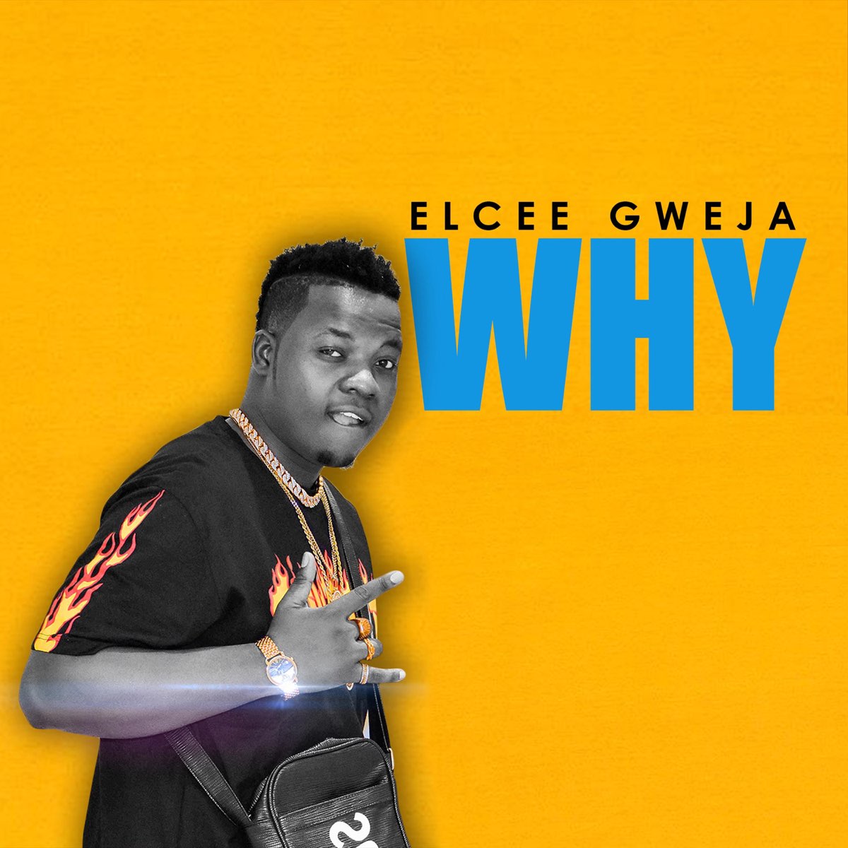 ‎Why - Single - Album by Elcee Gweja - Apple Music