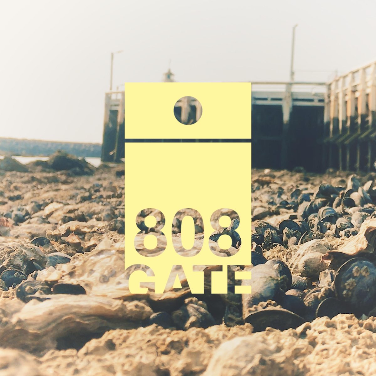 ‎Lubrico - Single - Album by 808 Gate - Apple Music