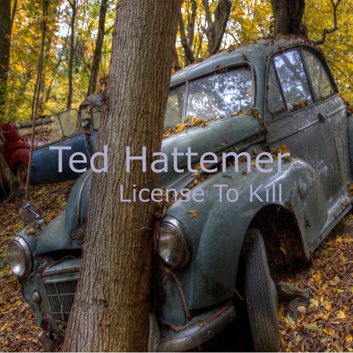 ‎License To Kill - Single - Album by Ted Hattemer - Apple Music