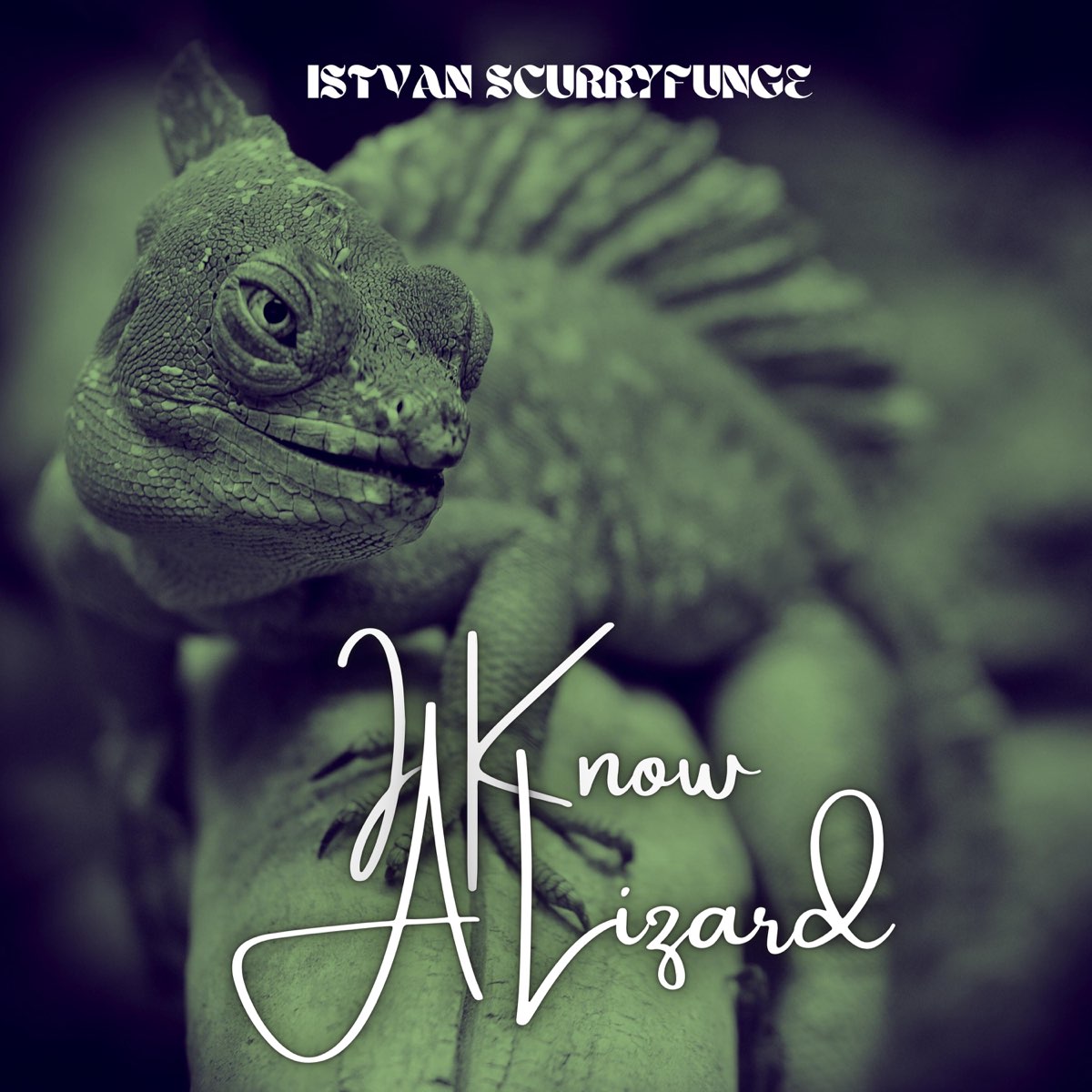 ‎I Know a Lizard (feat. Ladies of the Cavalcade) - Single - Istvan ...