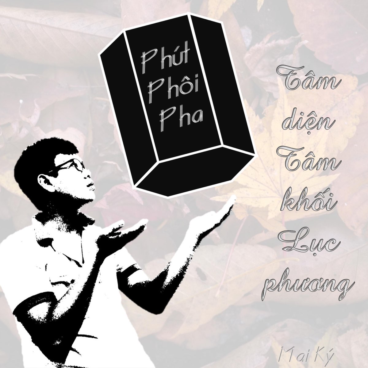 ‎Phút phôi pha Cấu trúc mạng tinh thể Tâm diện Tâm khối Lục phương ...