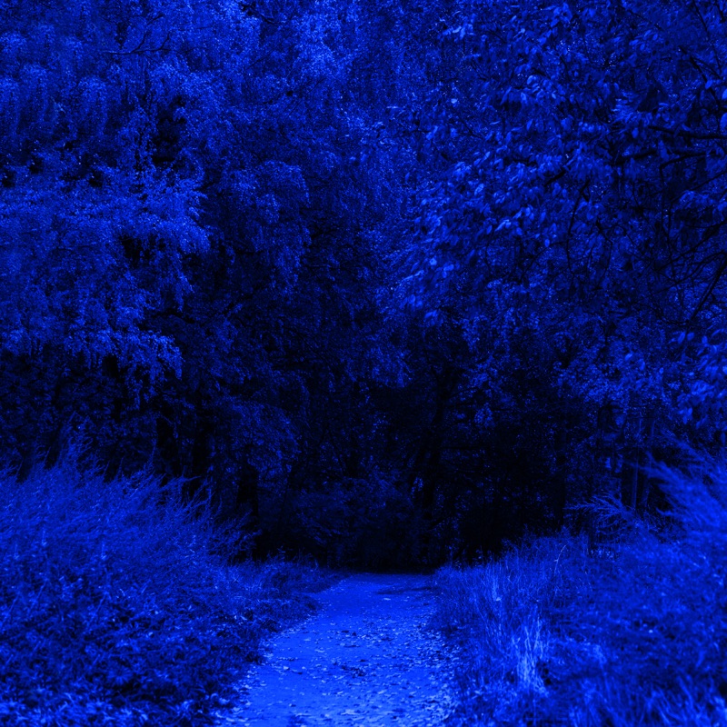 Sad Emotional Violin Music Ecveezer Song Lyrics Music Videos Concerts