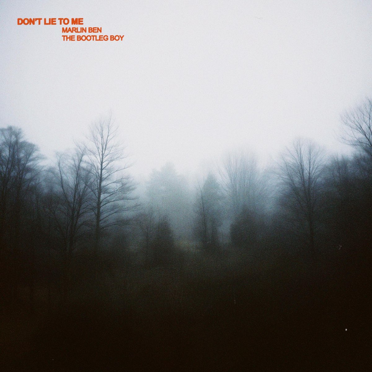 ‎Don't Lie To Me - Single - Marlin Ben & The Bootleg Boy的專輯 - Apple Music