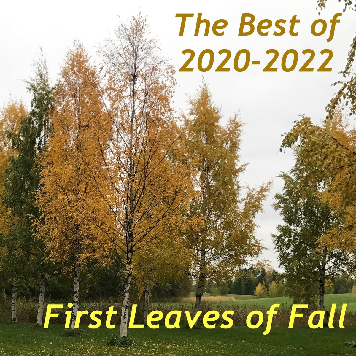 ‎The Best Of 2020-2022 - Album by First Leaves of Fall - Apple Music