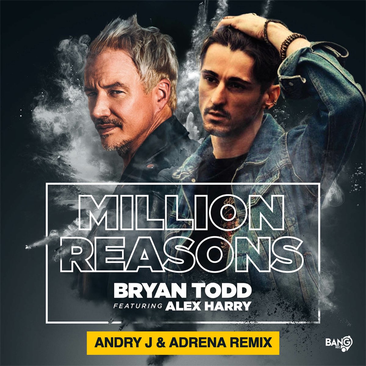 ‎Bryan Todd & Alex Harry在 Apple Music 上的《Million Reasons [Andry J ...