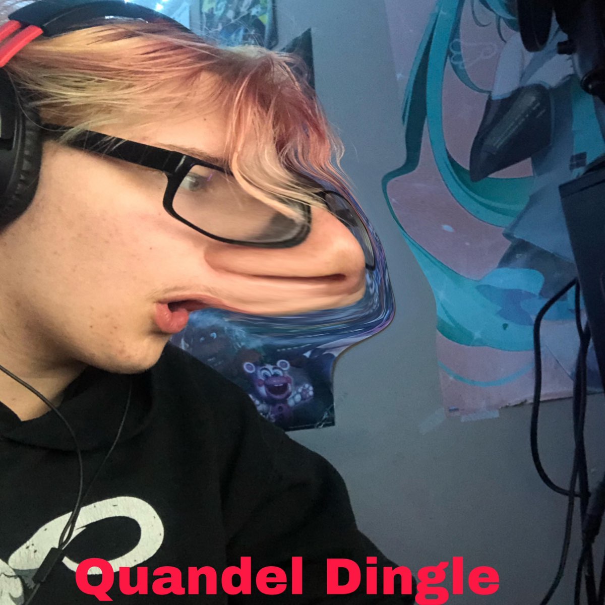 ‎Quandel Dingle - Single - Album by $$I AIn't NØ 69$$ - Apple Music