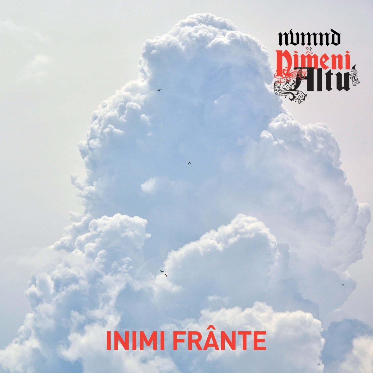 ‎Inimi Frânte - Album by Nvmnd & Nimeni Altu’ - Apple Music