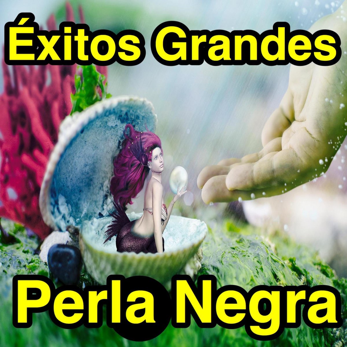 ‎Grandes Éxitos - Album by Perla Negra - Apple Music