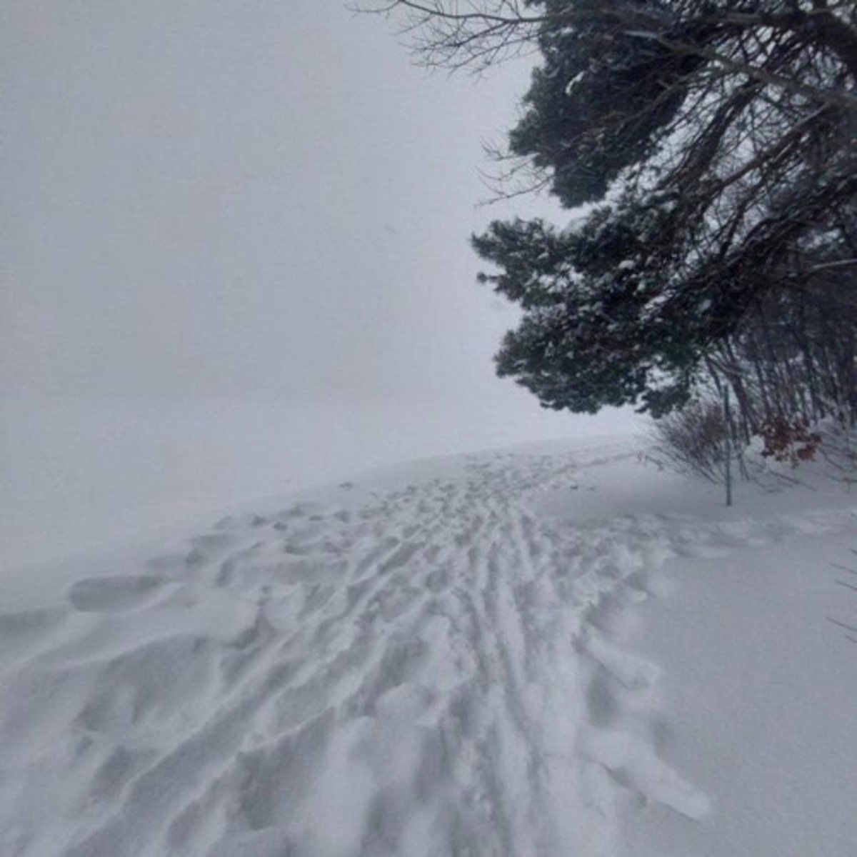 ‎winter II - EP - Album by 1oneam - Apple Music