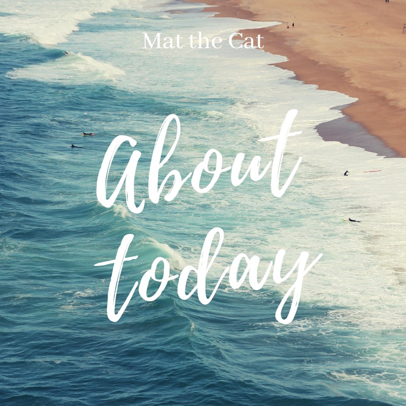 About Today - Mat the Cat: Song Lyrics, Music Videos & Concerts