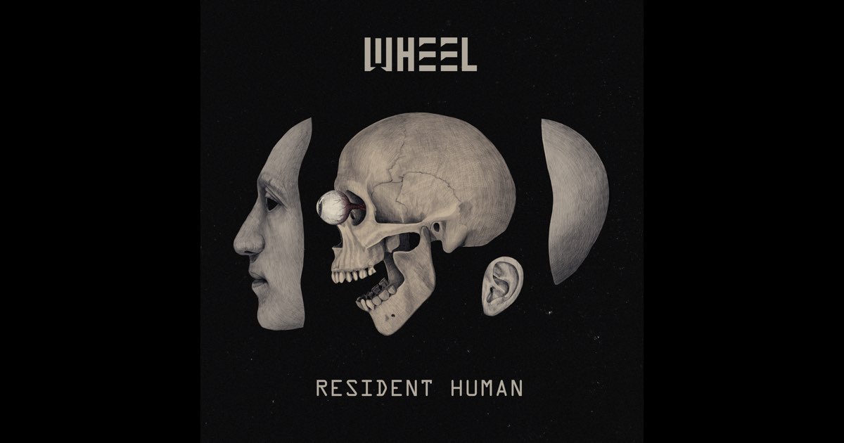 ‎Resident Human - Album by Wheel - Apple Music