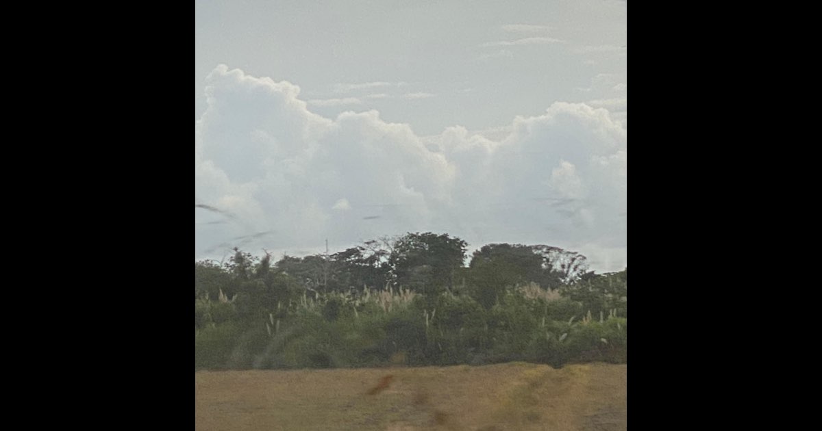 ‎Woomp (feat. Inimicvs) - Single - Album by olswel - Apple Music