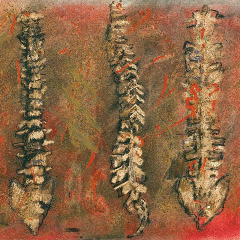 Spring Break '08 II - American Thunder Band: Song Lyrics, Music Videos ...