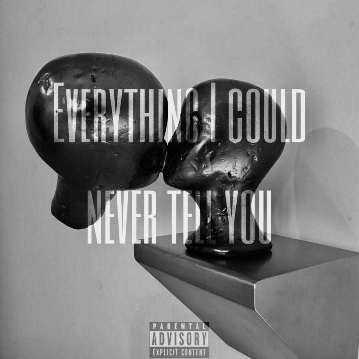 ‎Everything I Could Never Tell You - Album by Shaun M - Apple Music