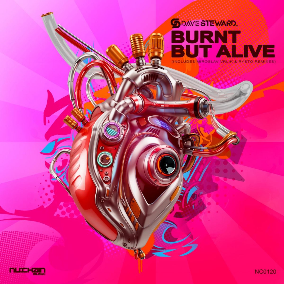‎Burnt But Alive (Includes Miroslav Vrlik & Rysto Remixes) - EP - Album by Dave Steward - Apple ...