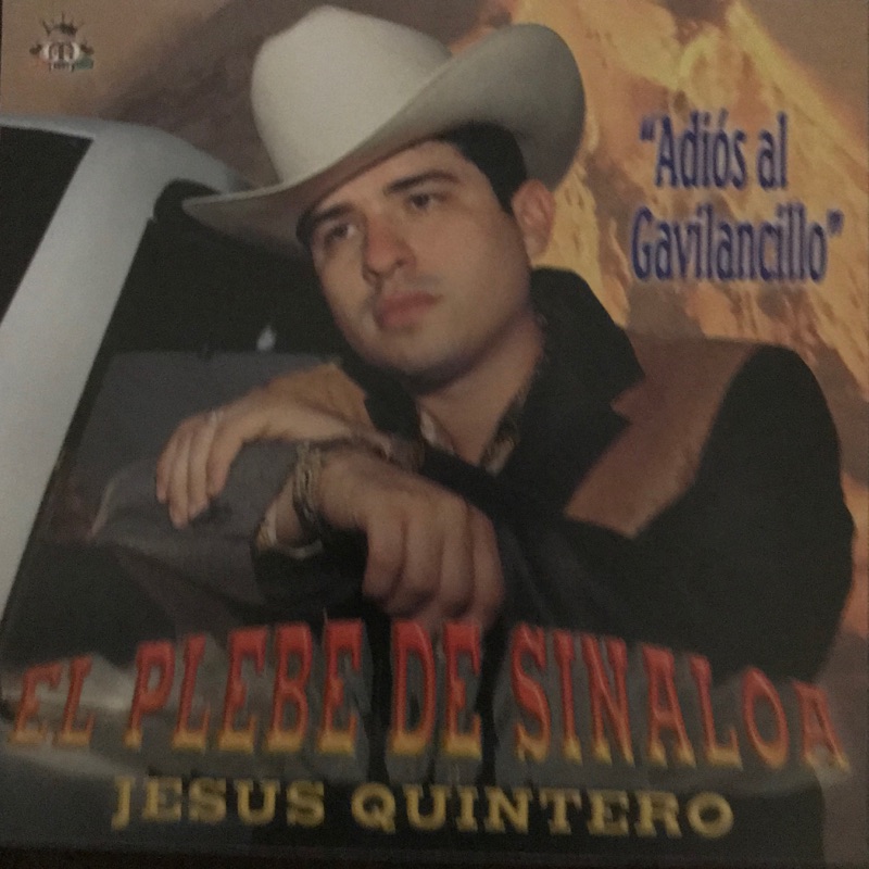 El Desierto de Sonora - El Plebe de Sinaloa: Song Lyrics, Music Videos ...