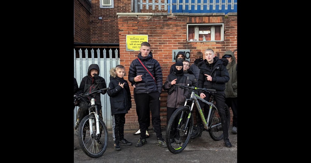 ‎Real Estate Life - Single - Album by Tom Lillywhite - Apple Music