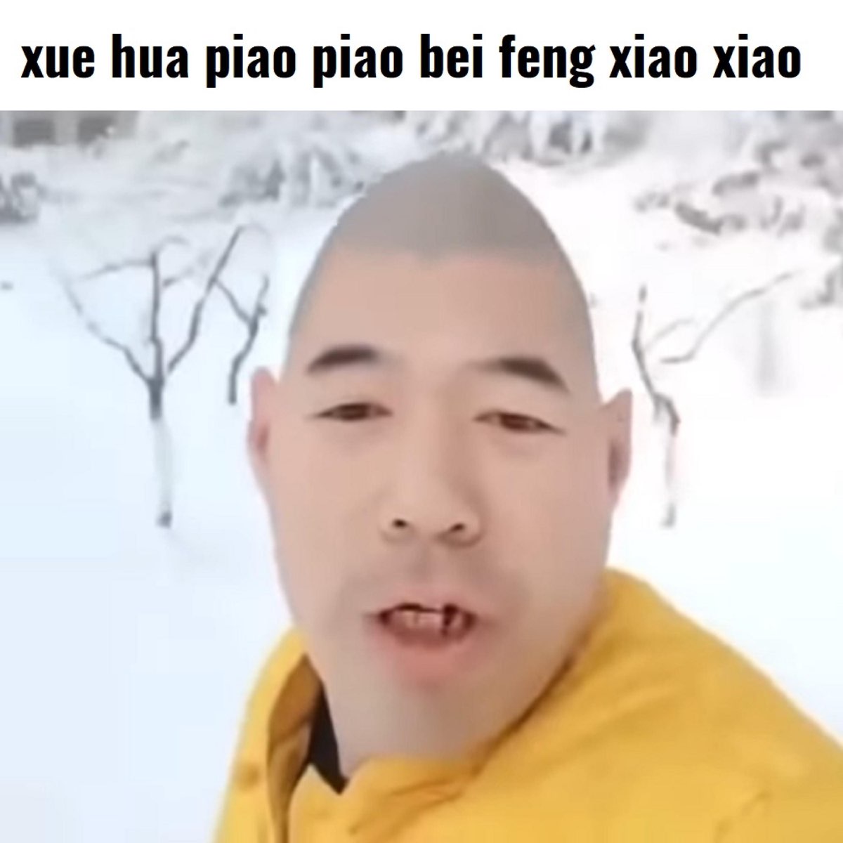 ‎memegodの「xue Hua Piao Piao Bei Feng Xiao Xiao Single」をapple Musicで