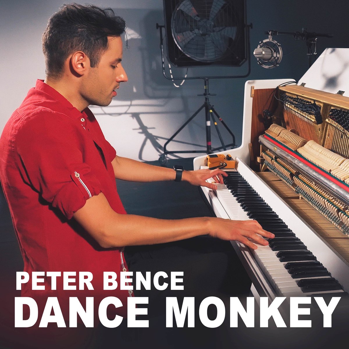 ‎Dance Monkey - Single - Album by Peter Bence - Apple Music
