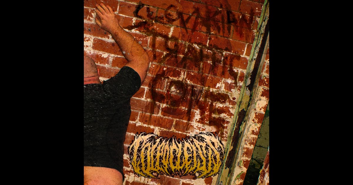 ‎Slovakian Traffic Cone - Single - Album by Colpocleisis - Apple Music