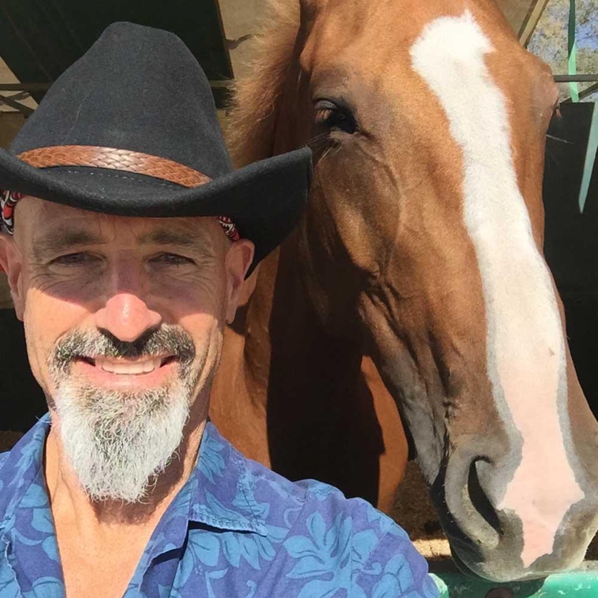 ‎American Music - Album by Glenn Stiglic - Apple Music