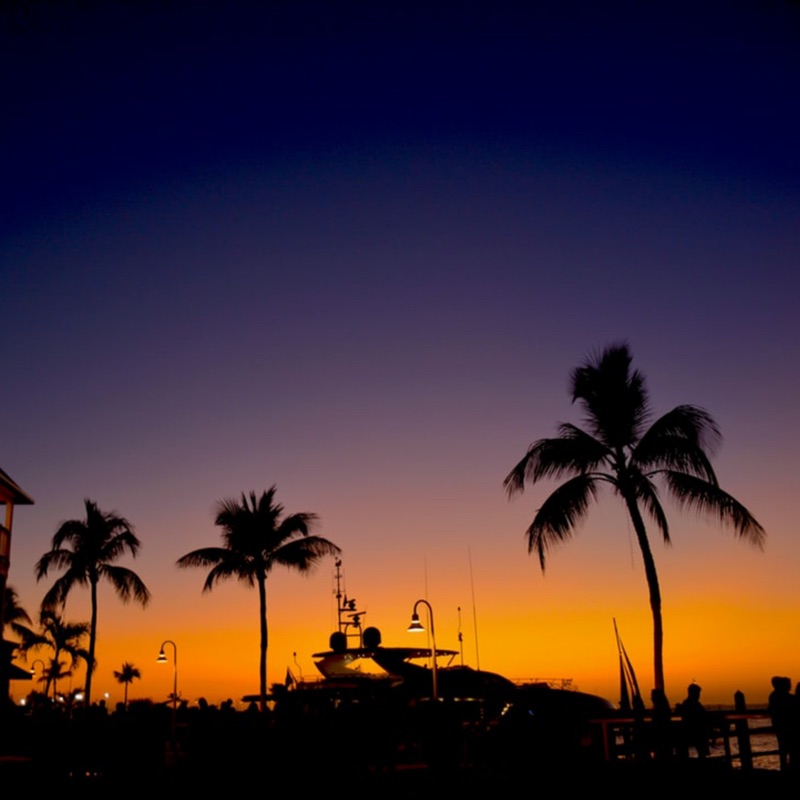 Bad Chemist - Musqitone: Song Lyrics, Music Videos & Concerts