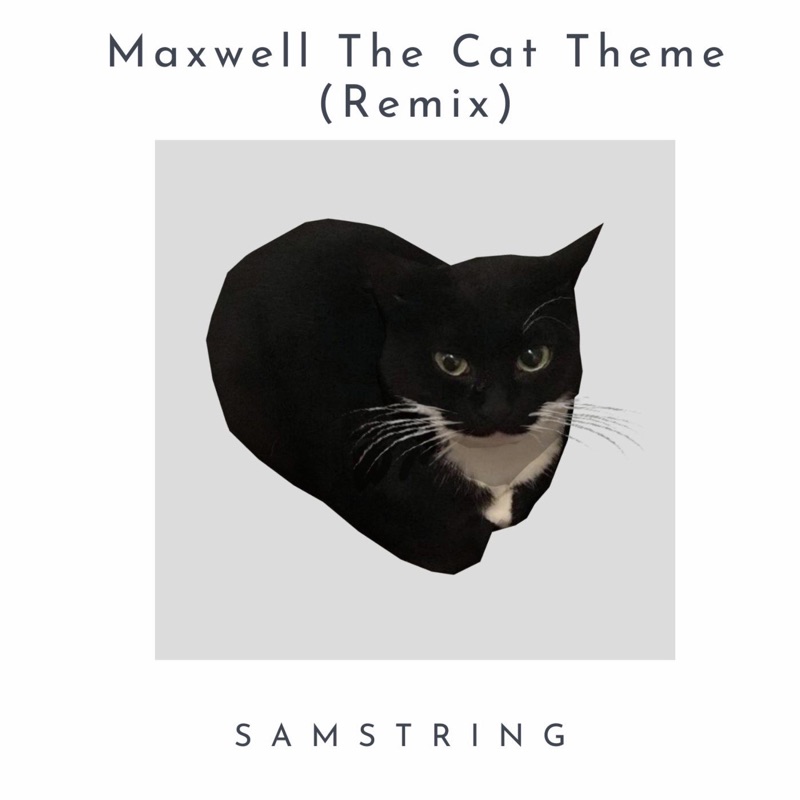 Maxwell the Cat Theme (SAMString Remix) - Samstring: Song Lyrics, Music ...