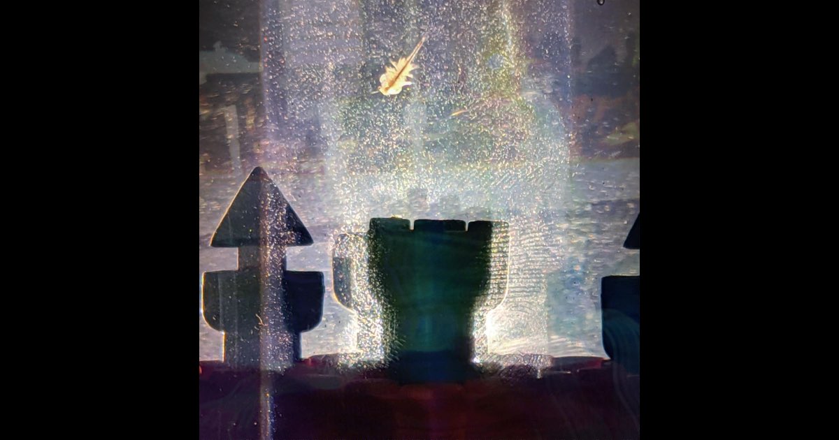 ‎Constellation Bay - Album by Admo - Apple Music