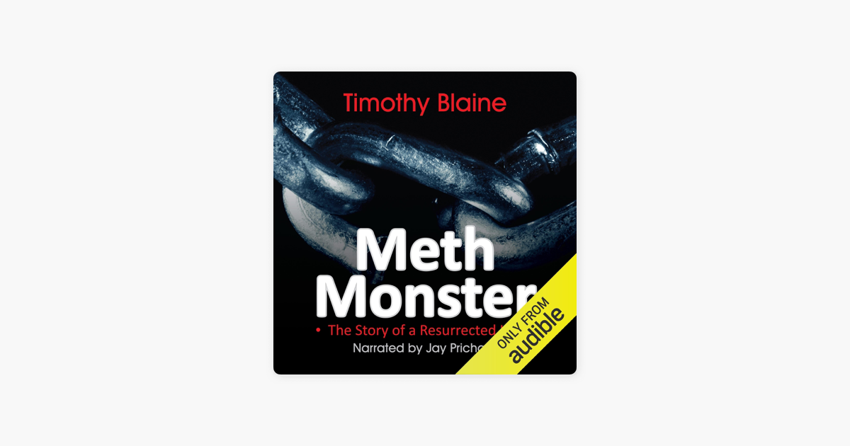 ‎Apple Books 上Timothy Blaine的《Meth Monster: The Story of a Resurrected ...