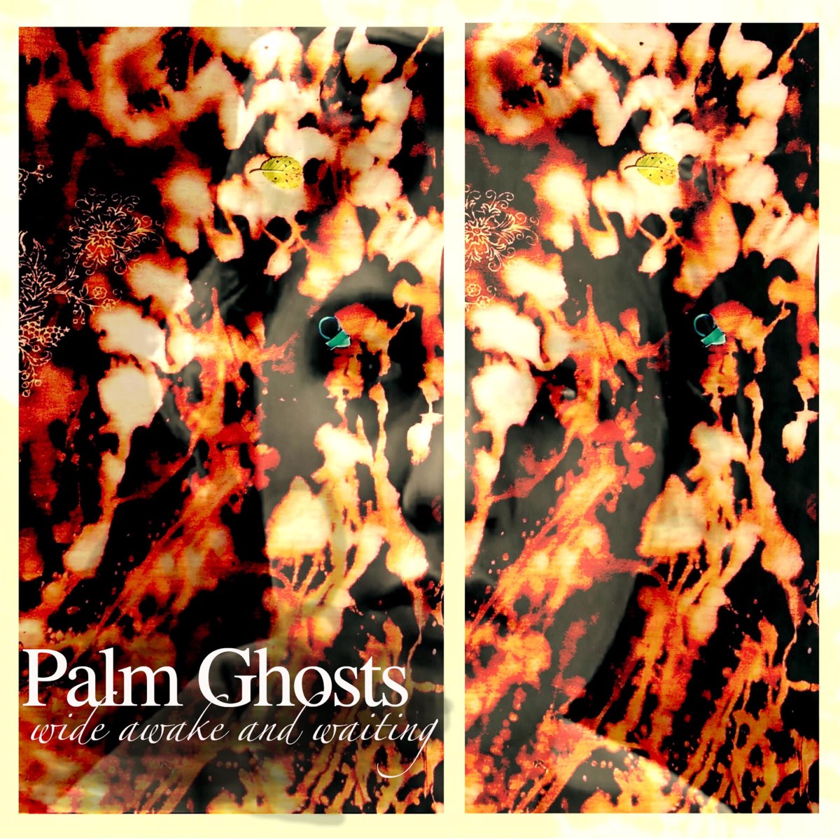 Wide Awake and Waiting - EP》- Palm Ghosts的专辑 - Apple Music