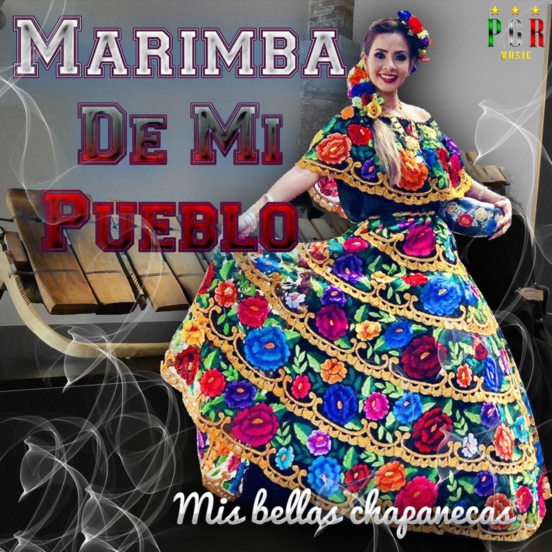 Nunca Es Suficiente - Marimba De Mi Pueblo: Song Lyrics, Music Videos ...